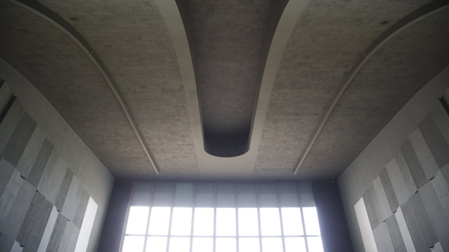 Kim Kuehner donates $5 million to COCA - St. Louis Business Journal