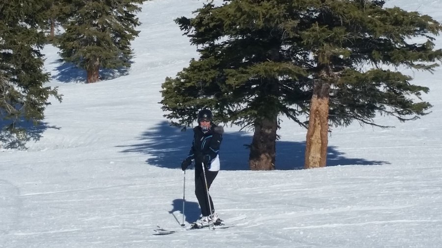 Barbara Stankowski skiing
