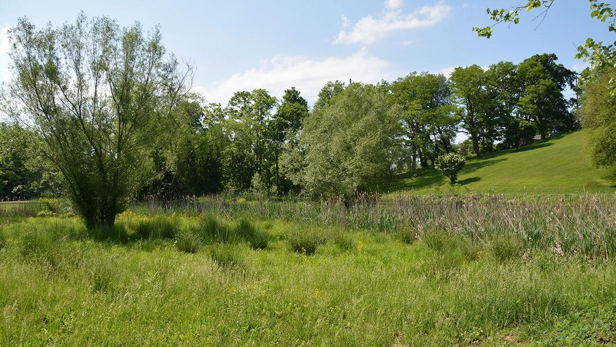 River Ridge donates 105 acres to Jeffersonville for community park ...