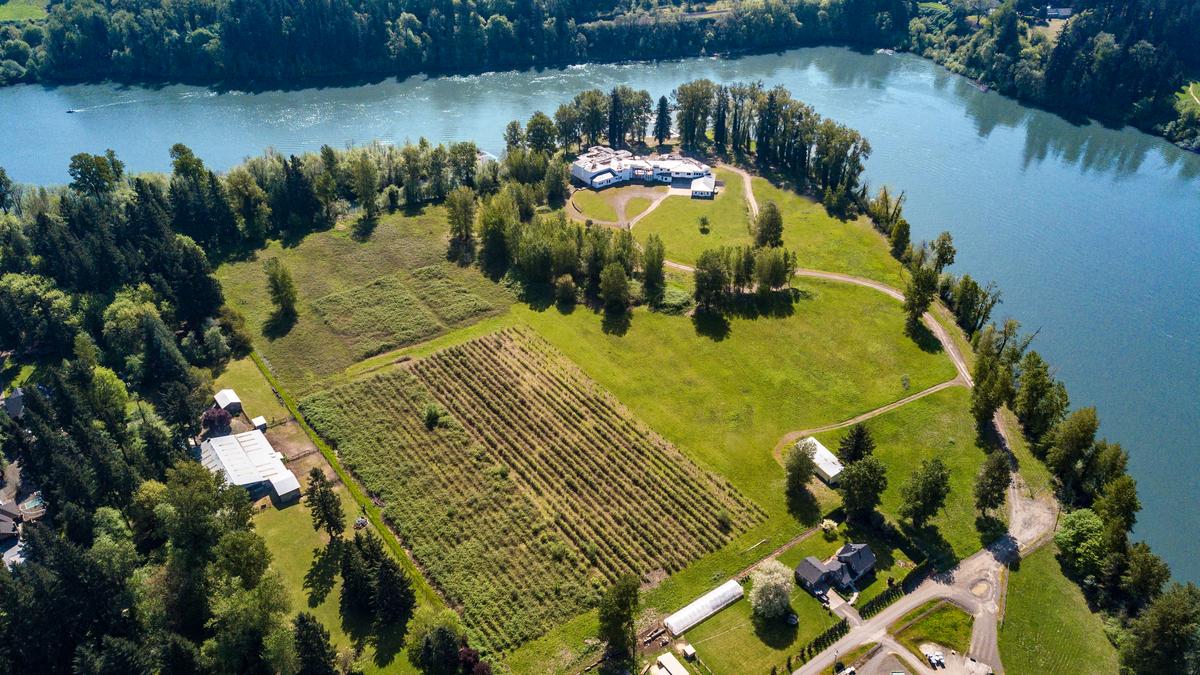 Hollywood Video founder Mark Wattles' never-finished palatial mansion ...