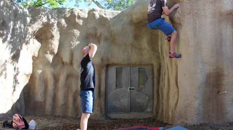 A look back at a year of innovation for the Jacksonville Zoo and ...