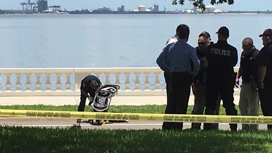 Deadly Bayshore Boulevard Accident Prompts Demands For Road Safety