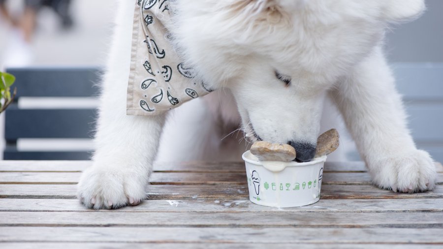 Shake Shack Easton to open May 19 - Columbus Business First