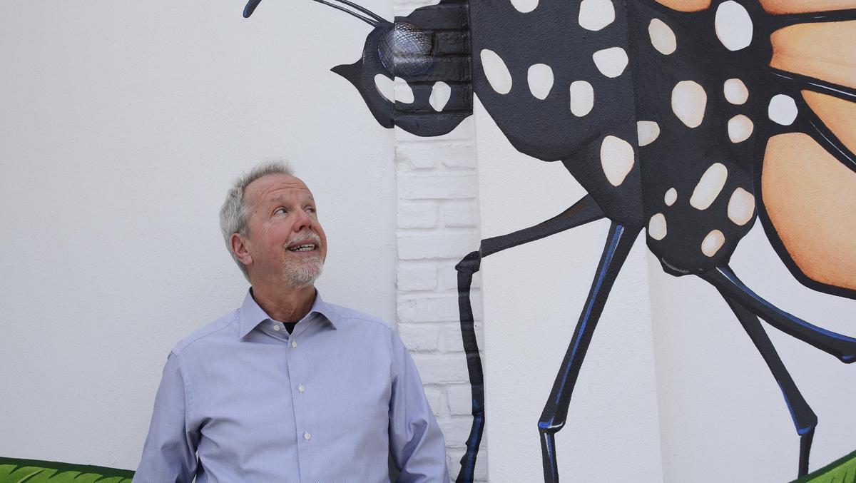 Why Orlando conservation is a key part of education for Full Sail's ...