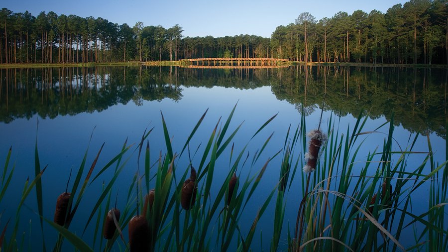 4,000-acre Hampton Island, Ga., is for sale starting at $50M (Photos ...