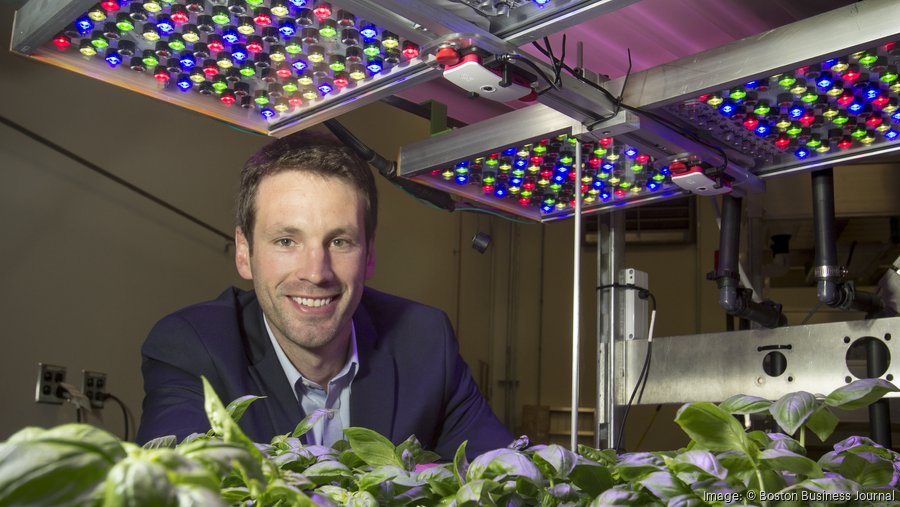 He's seen the light: Steve Graves helps Osram develop tech to grow ...