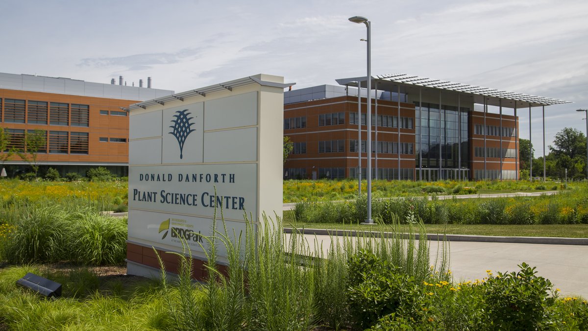 Danforth Center names Edward Jones' Penny Pennington as new board chair ...