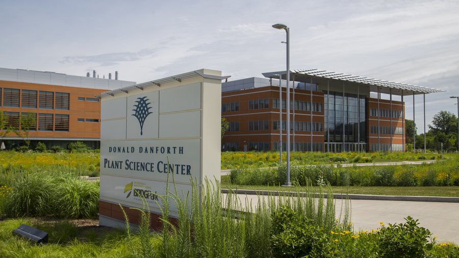 Donald Danforth Plant Science Center receives $3.5 million grant from ...