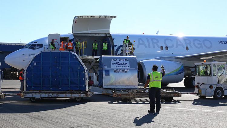 Alaska Air Group expands cargo service with Airbus jets as freight ...