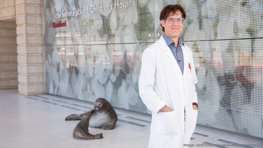 Using virtual reality, Stanford opens up a complicated organ to doctors ...