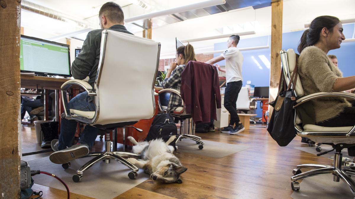 Best Places to Work winner Metric Theory - Denver Business Journal