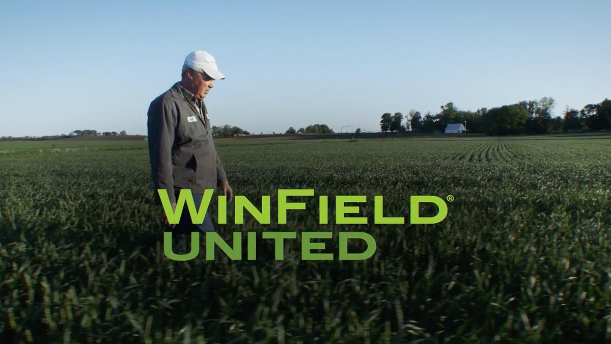 Winfield United