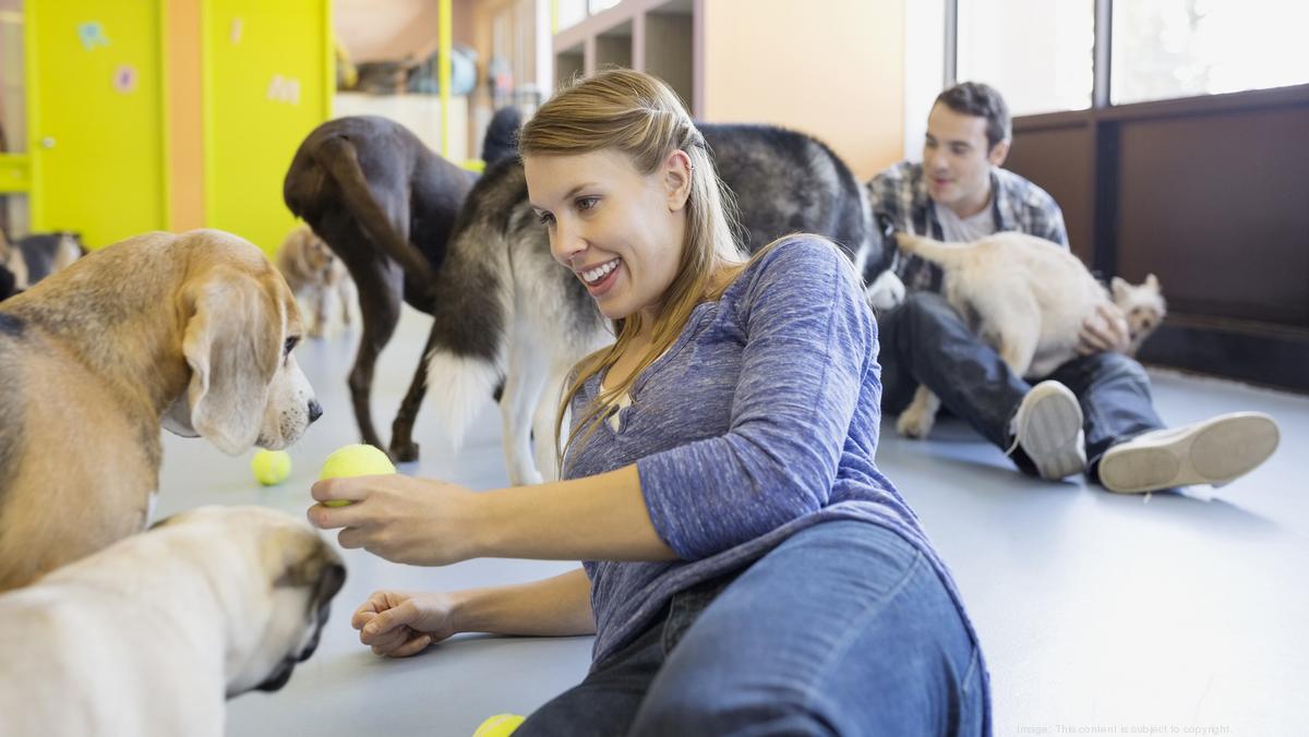 PetSuites expansion shows how important pets are to us - Cincinnati ...