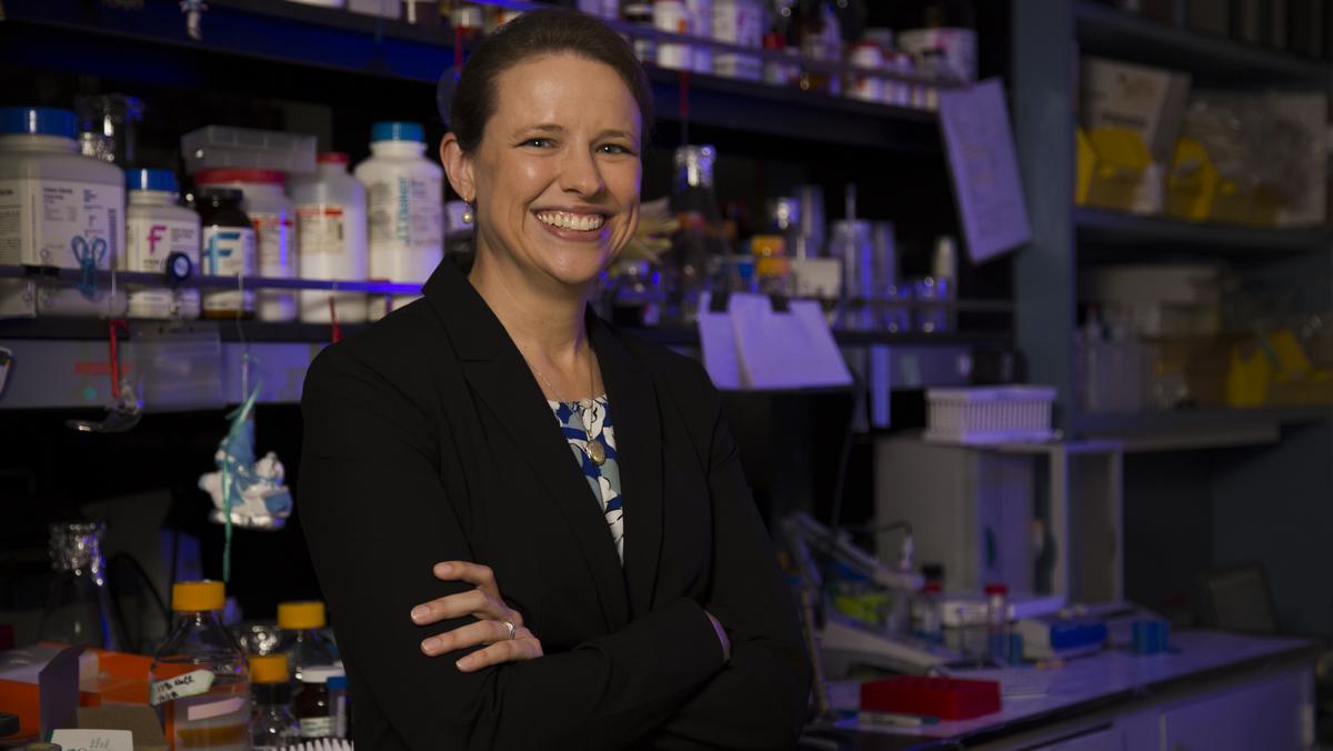 Watch: Gina Yosten on the relationship between science and music - St ...