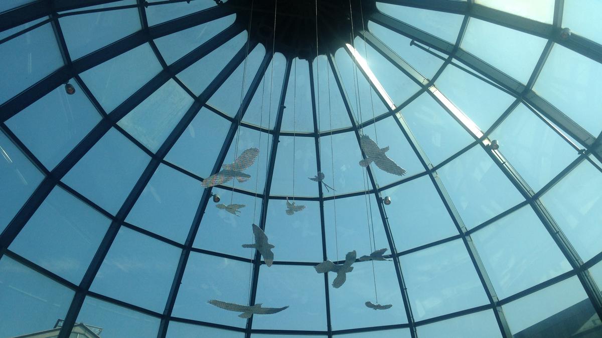 First Look: Renovated tropical rainforest habitat at the National ...