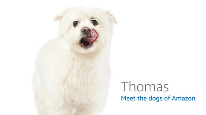 Amazon shoppers encounter Prime Day problems with the website and app ...