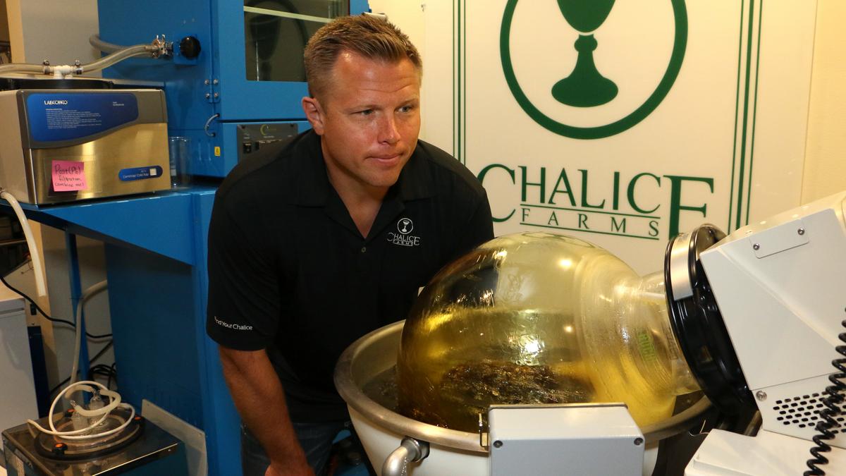 Big Oregon cannabis company’s merger deal off - Portland Business Journal