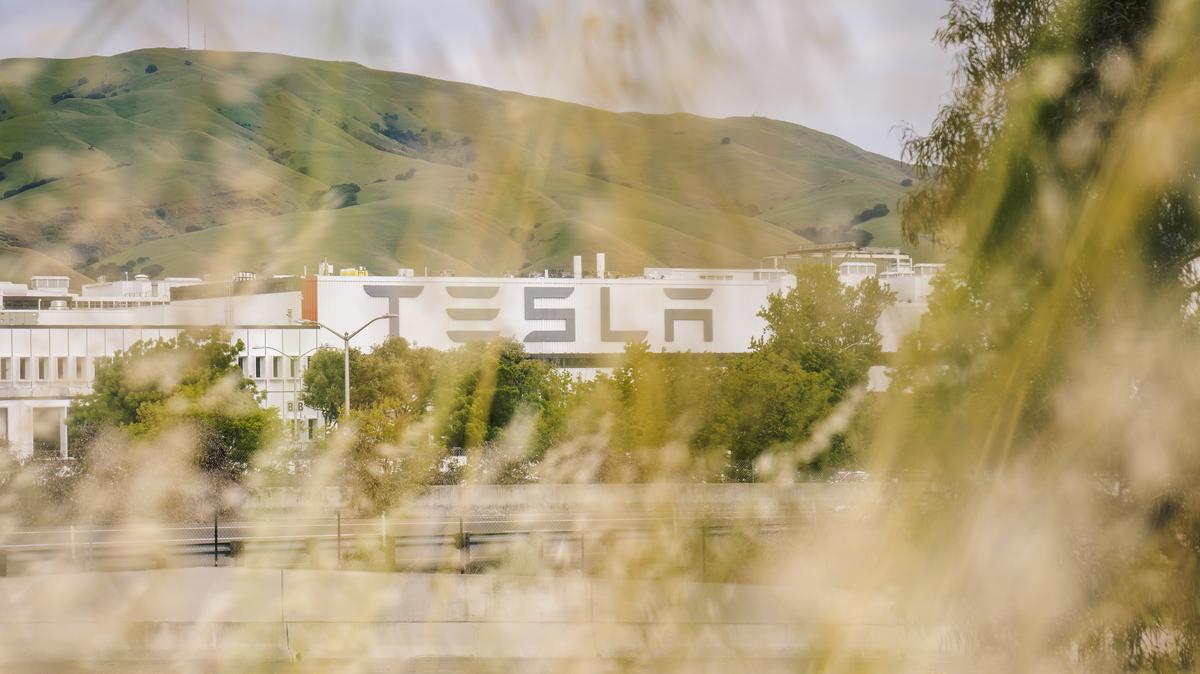Tesla reportedly seeks $167M from Martin Tripp, former employee company ...