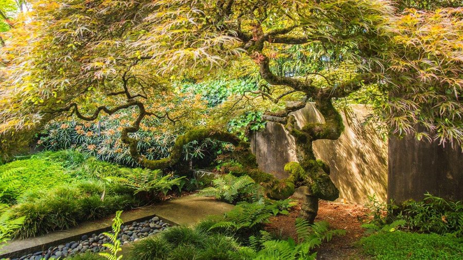 Hunts Point mansion breaks home sale record for Washington - Puget ...