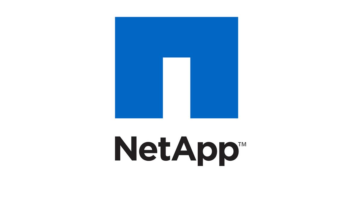 NetApp is looking for a few good software engineers - Wichita Business ...