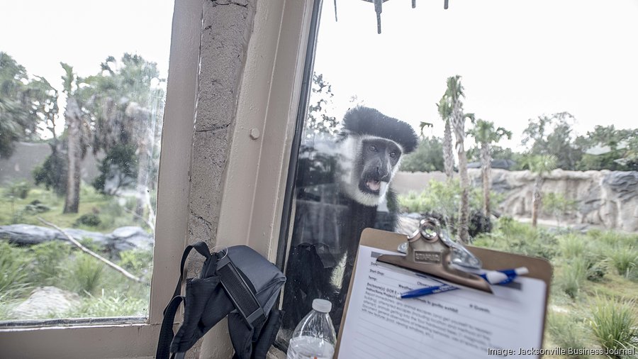 A look back at a year of innovation for the Jacksonville Zoo and ...