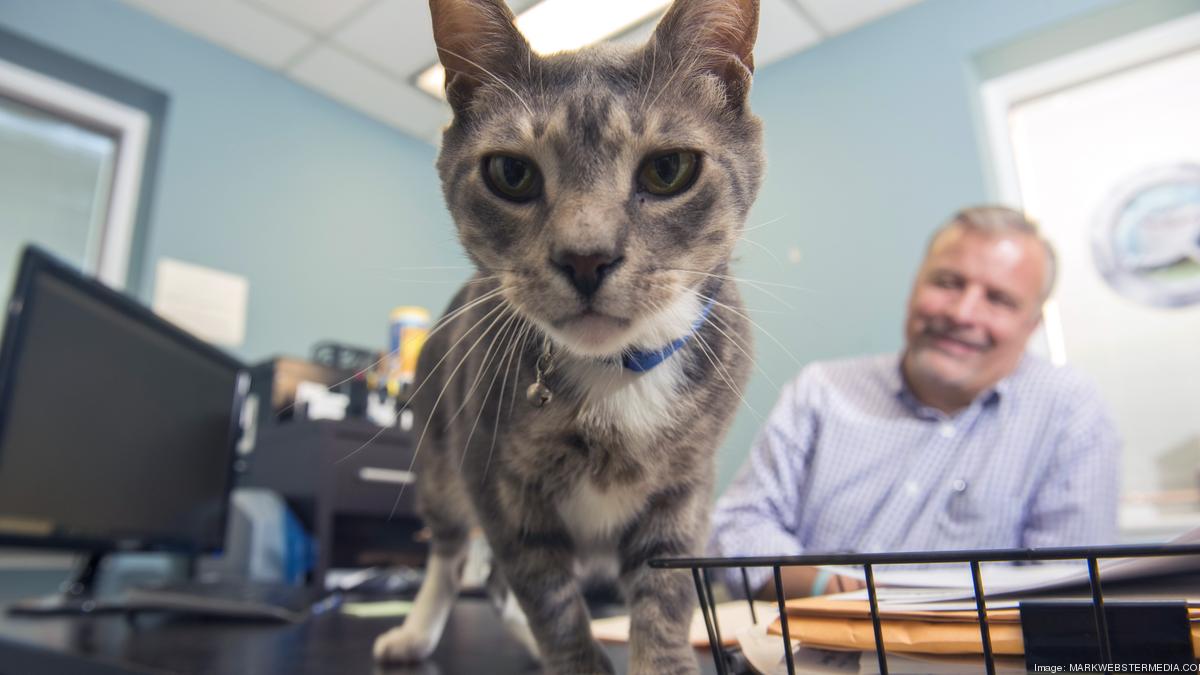 Niagara SPCA receives $500K state grant for expansion - Buffalo ...