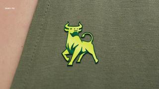 USF has a new logo and new 'Be Bullish' slogan - Tampa Bay Business Journal