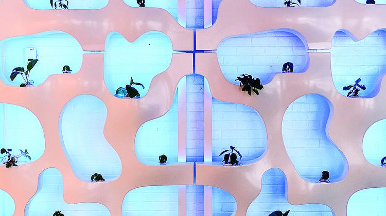 Yolanda Cole of Hickok Cole Q&A - Washington Business Journal