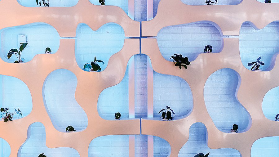 Yolanda Cole of Hickok Cole Q&A - Washington Business Journal