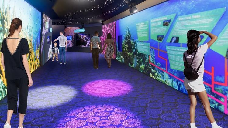 Florida Aquarium to unveil new exhibit, reimagined area - Tampa Bay ...