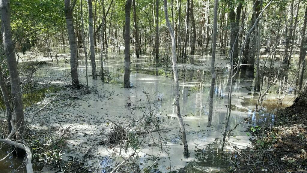 Duke Energy flooding problems from Hurricane Florence increase ...