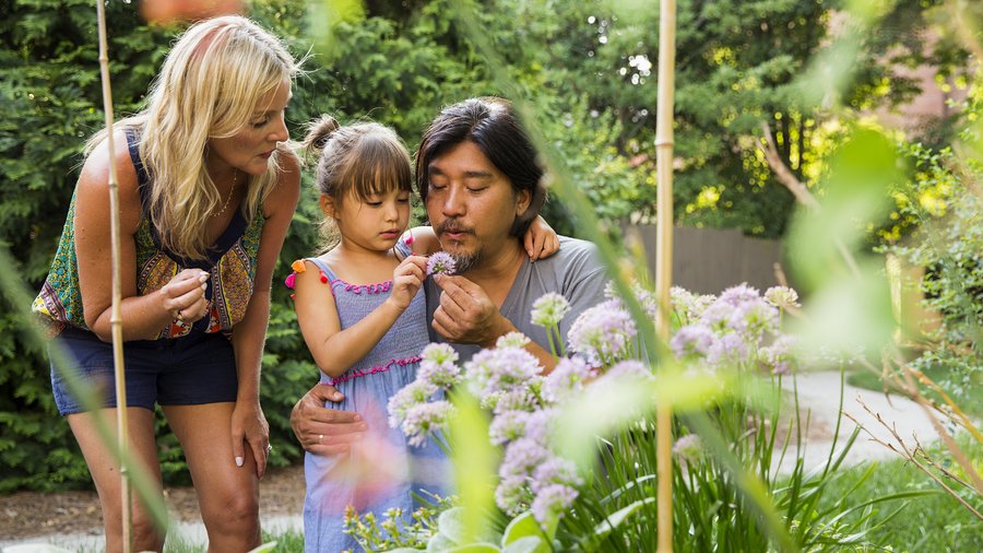 Top Chef's Edward Lee on what every home kitchen needs — and doesn't ...