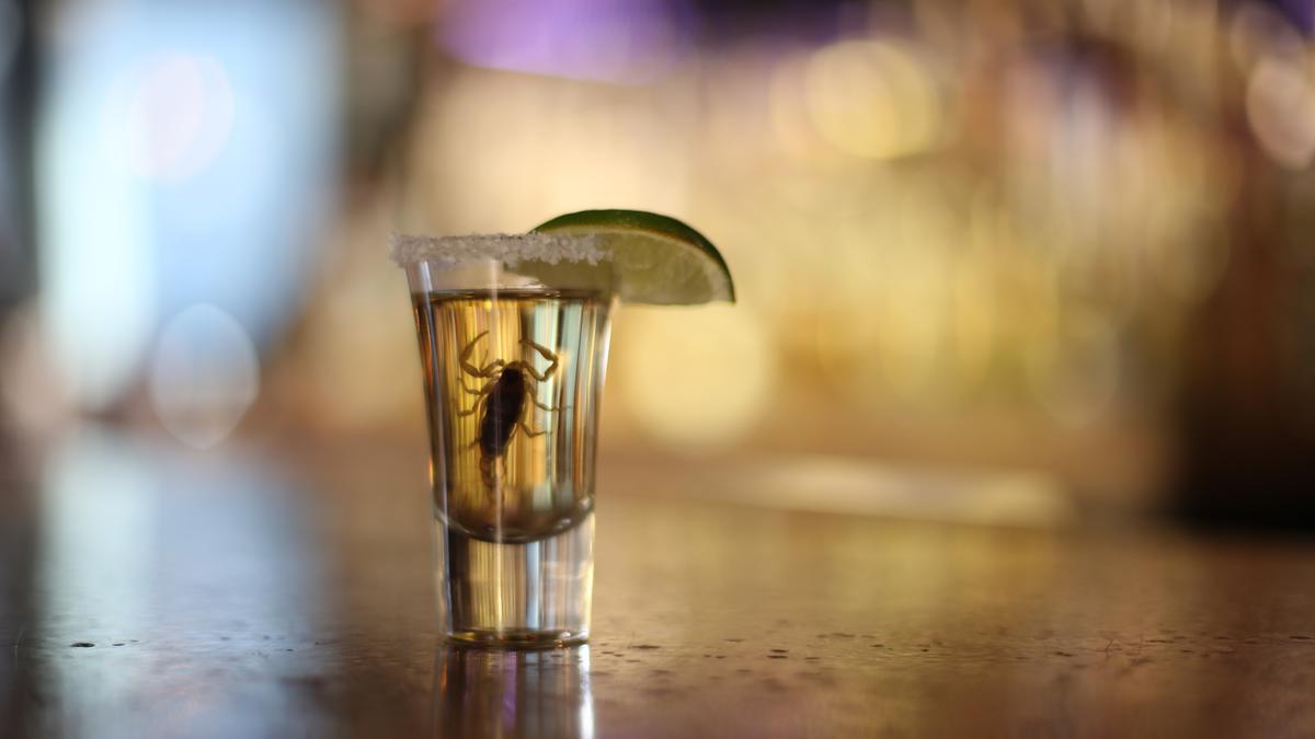 Nacho Daddy, and its 'scorpion shot,' heading to metro Atlanta ...