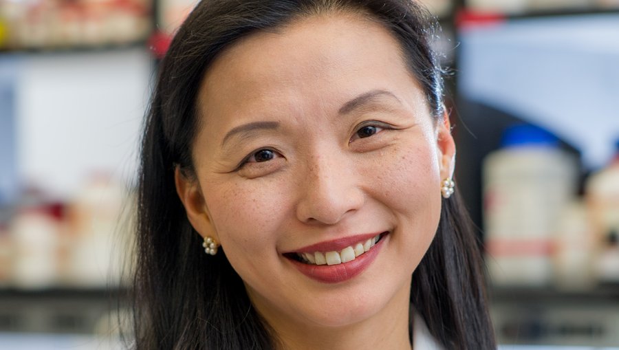 Philadelphia-based Penn Medicine to use precision medicine to study ...