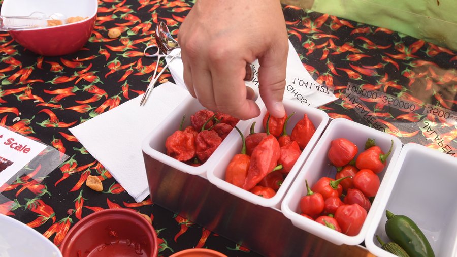 Atlanta's chili wars begin with 2,500 tasters in Brookhaven - Atlanta ...