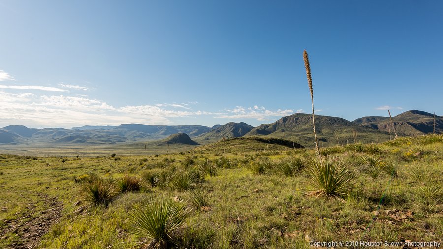 37,000-acre KC7 Ranch to sell after bankruptcy court ruling - Dallas ...