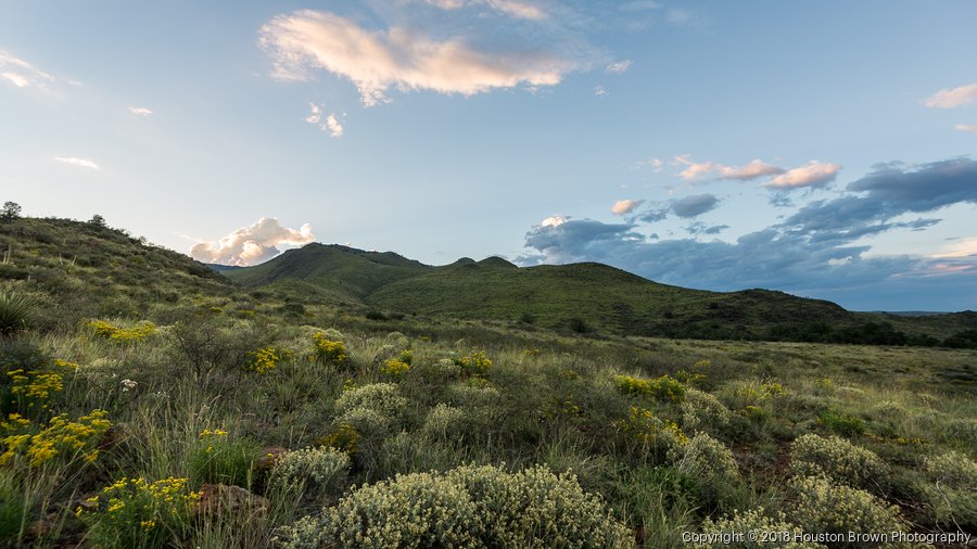 37,000-acre KC7 Ranch to sell after bankruptcy court ruling - Dallas ...