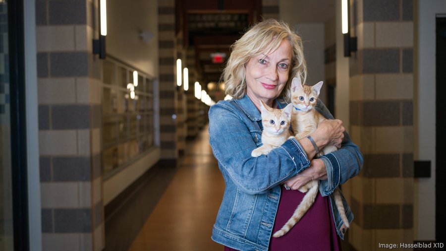 Harris County’s $24M animal shelter breaks ground - Houston Business ...