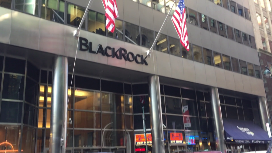 Index fund managers BlackRock and Vanguard have outsized ownership of ...