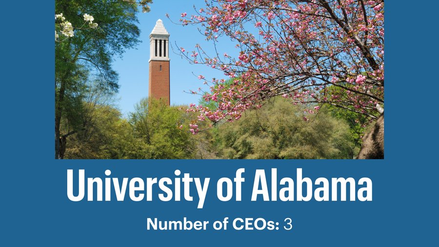 CEO Colleges 29