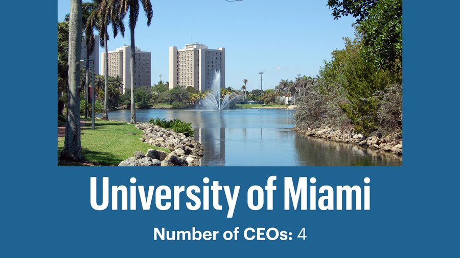 CEO Colleges 24