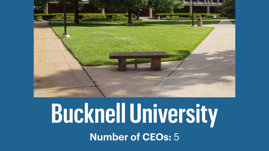 CEO Colleges 15