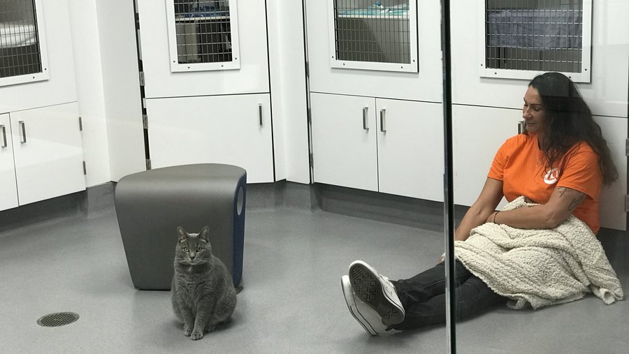 Columbus Humane IMG 3596