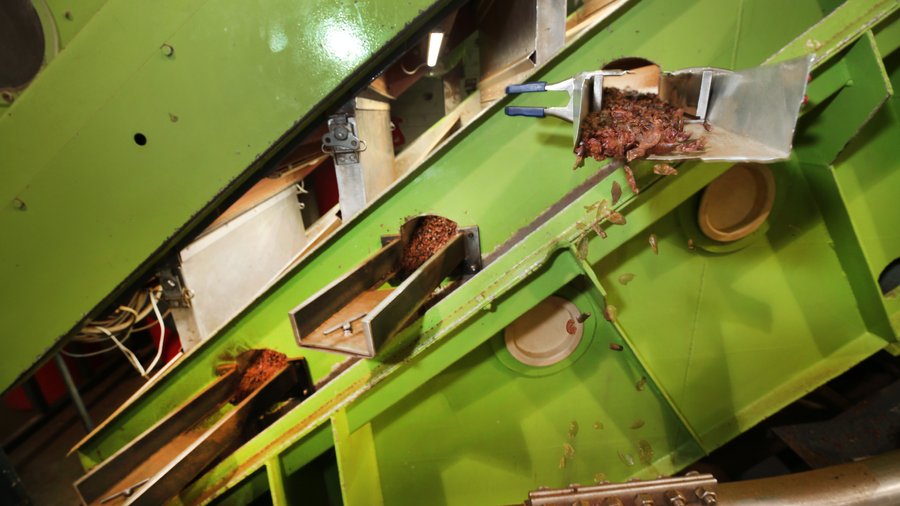 Theo Chocolate CEO Etienne Patout