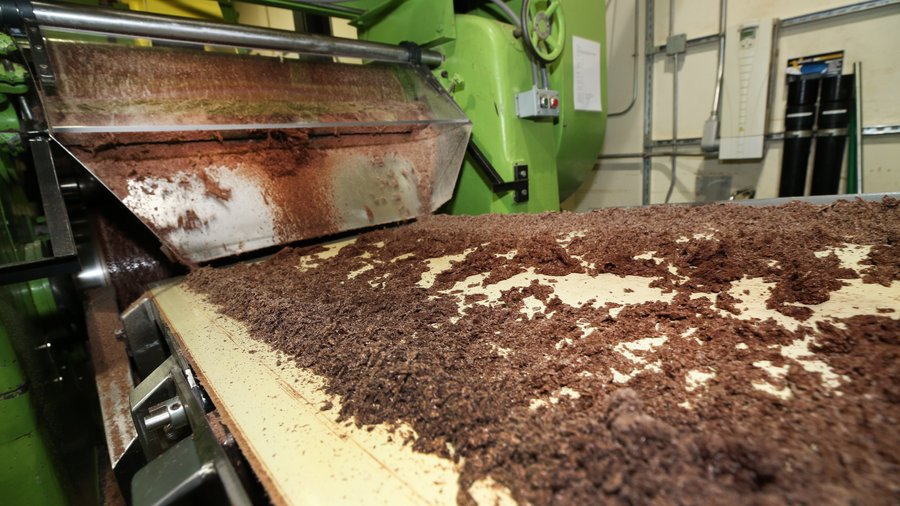Theo Chocolate CEO Etienne Patout