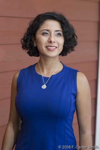 Harris County Judge takes leave of absence for depression treatment - Houston Business Journal