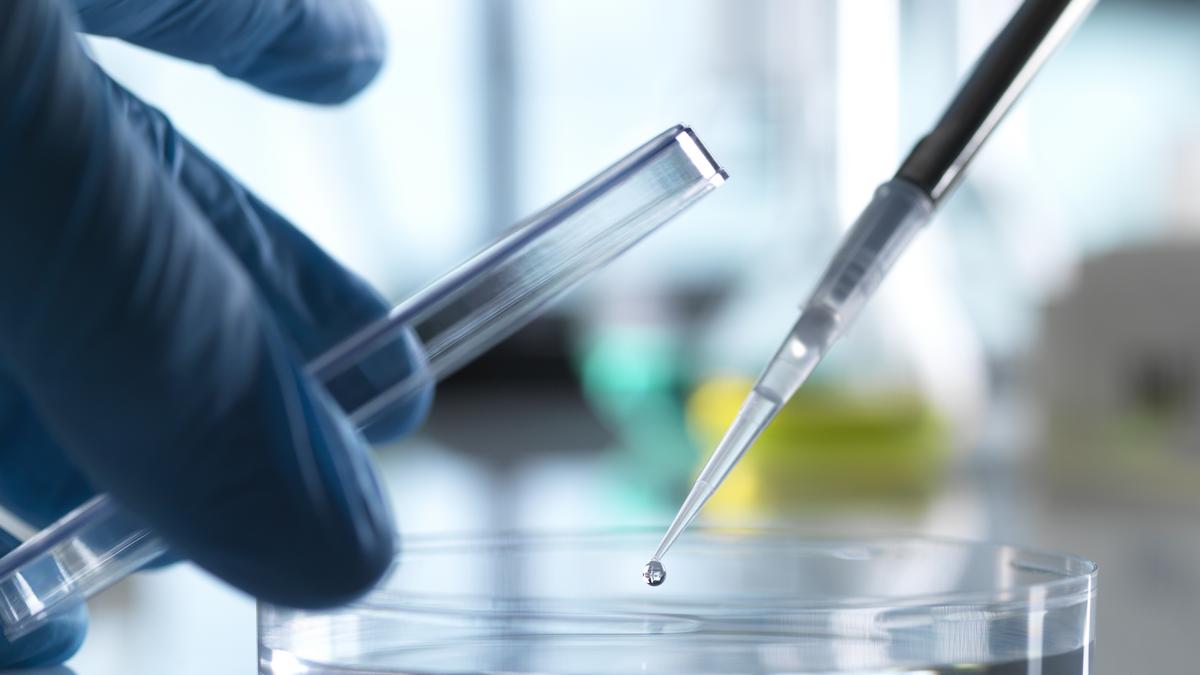 Solid Biosciences' Duchenne gene therapy linked to another adverse ...