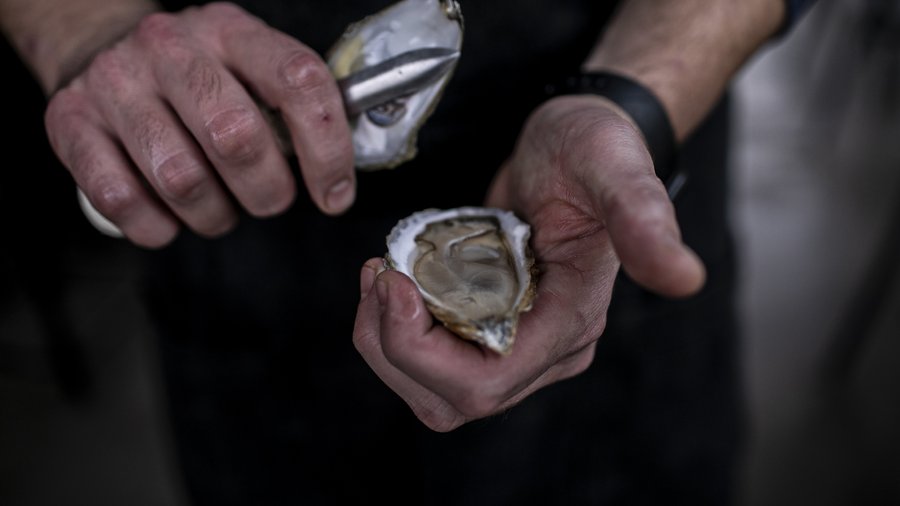 Concentrics restaurant group opens Bully Boy near Atlanta's Eastside ...