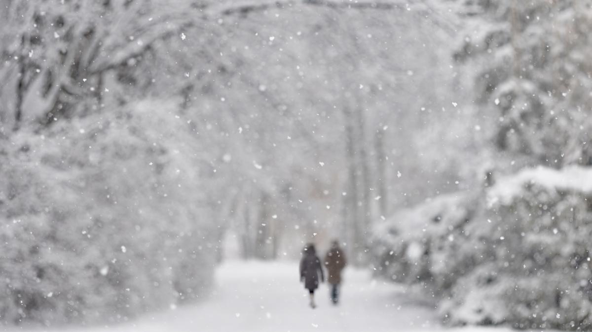 Snowy February puts a damper in Twin Cities home sales, but market ...