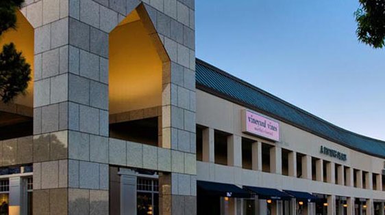 Aesthetics office joins Regalia; $6 million Riviana permit - Memphis ...